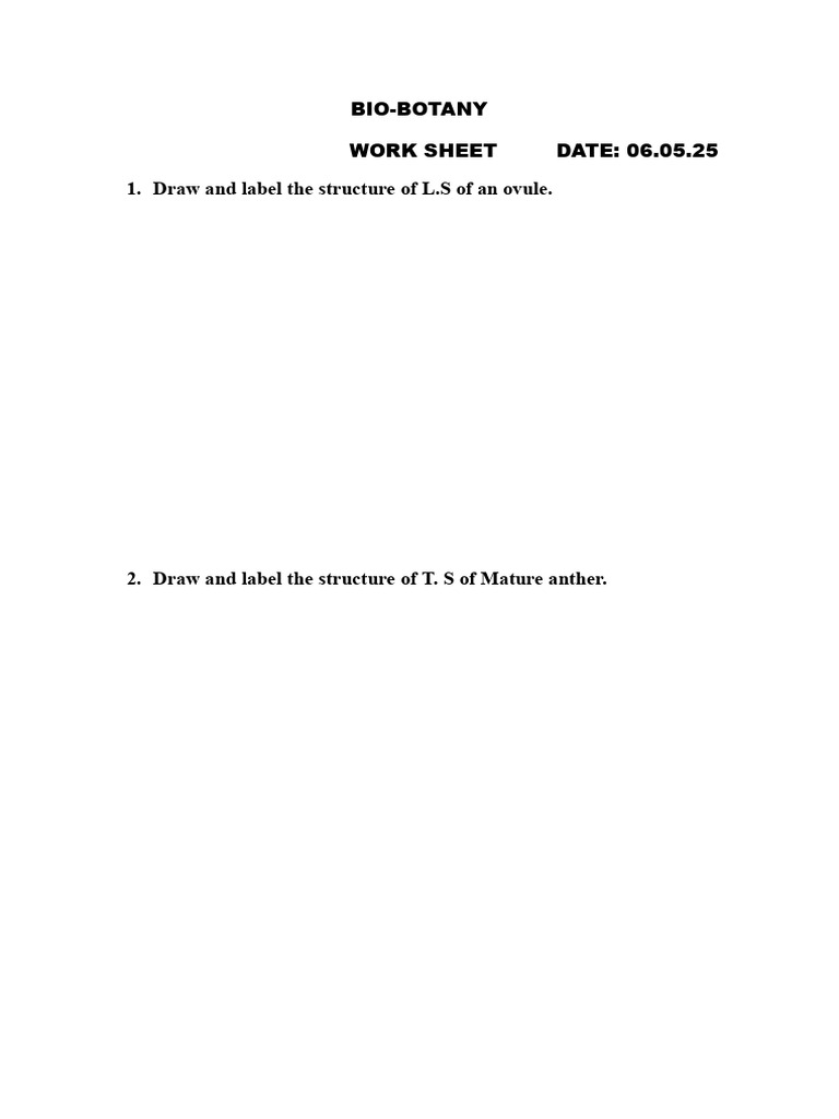 12th Bio-Botany - Work Sheet - 25 - 26 | PDF