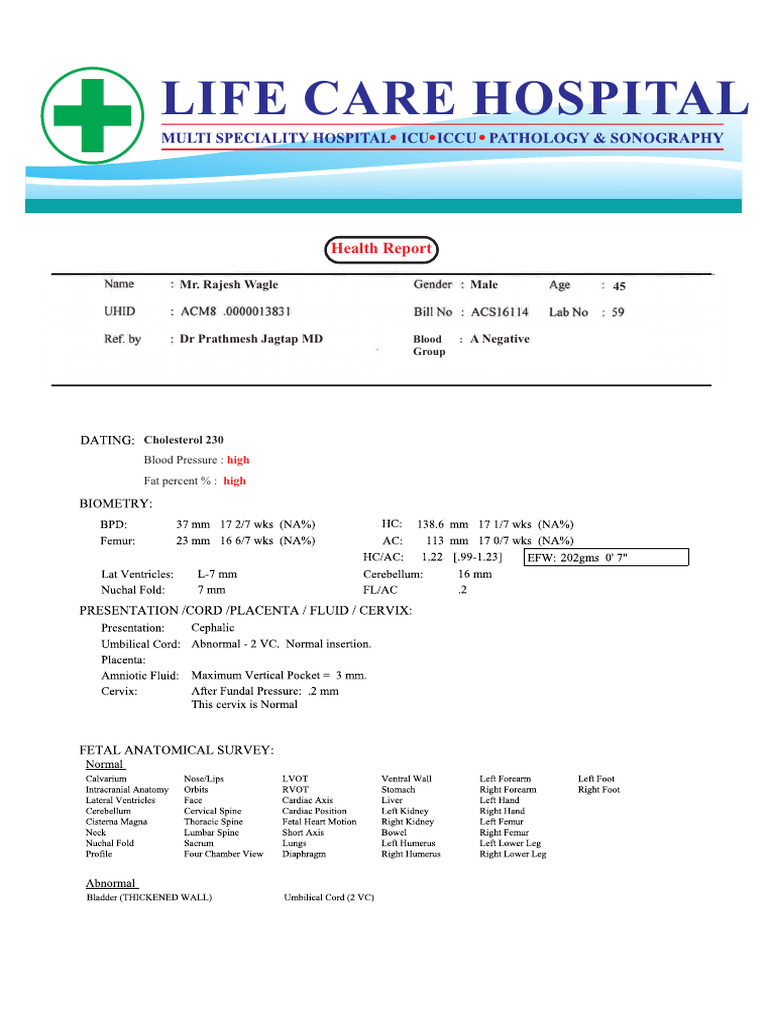 Health Report | PDF