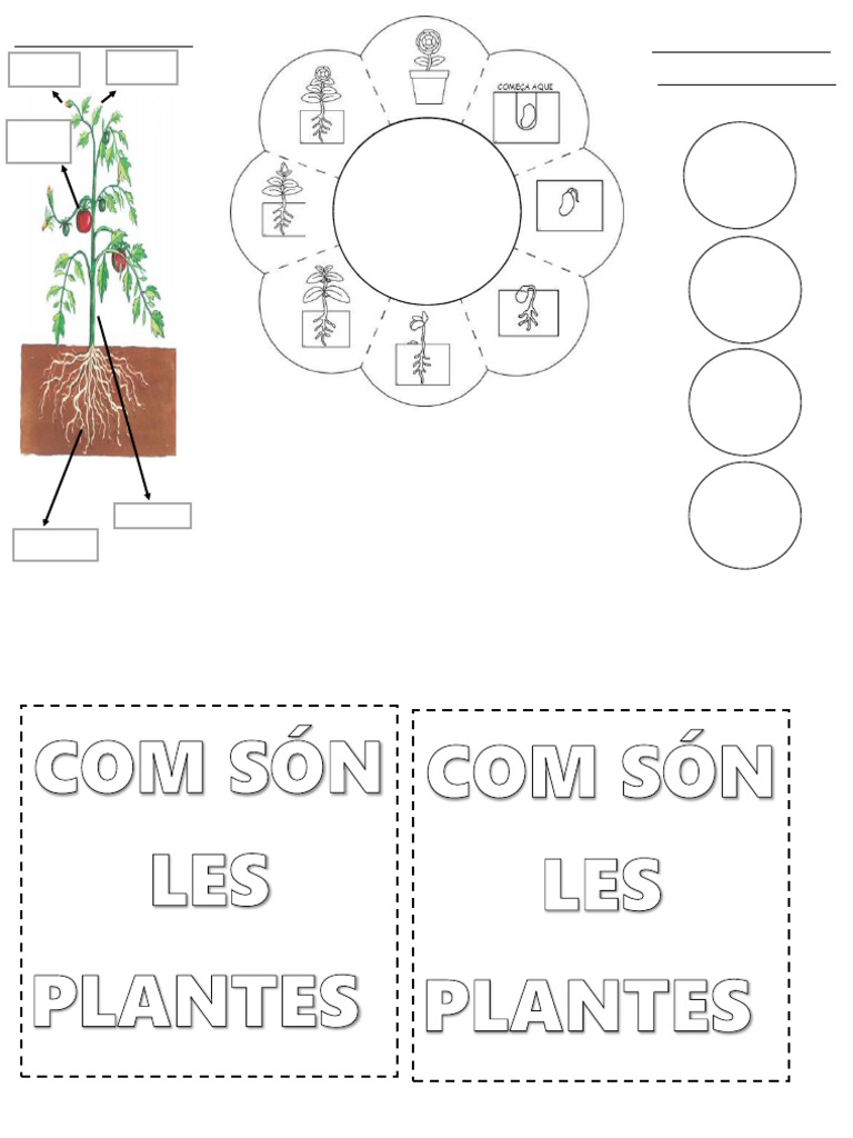 Cosas para El Lapbook | PDF