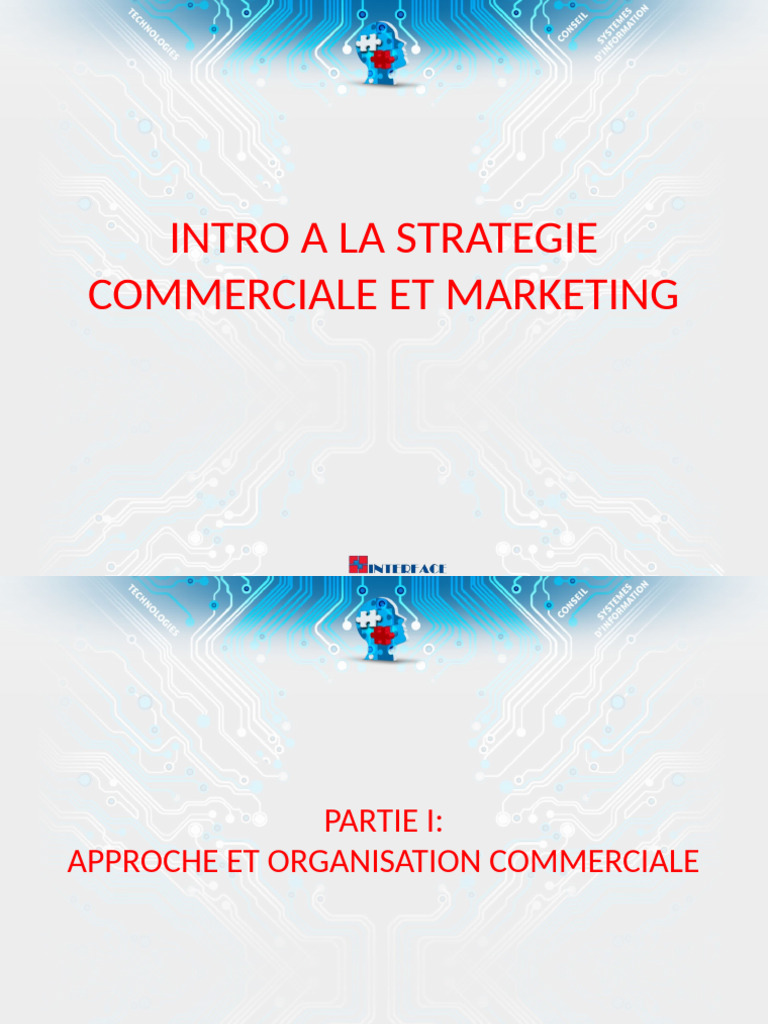 Stratégie Commerciale et Marketing B2B | PDF | Sodles | Commercialisation