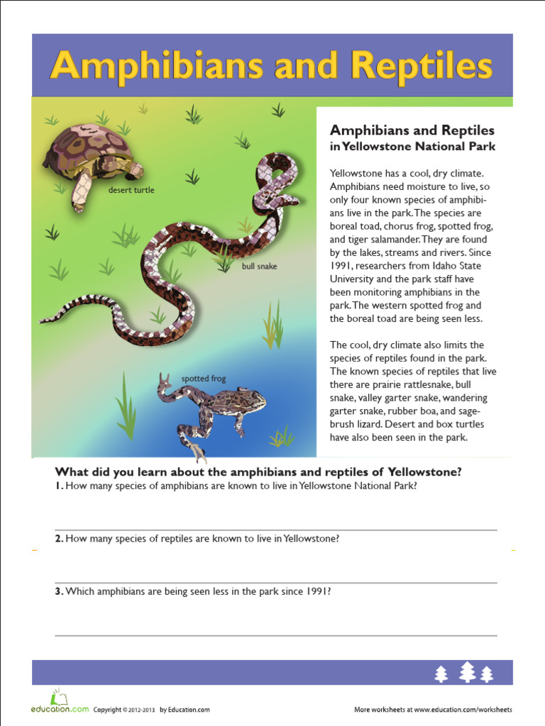Amphibians Reptiles | PDF | Amphibian | Yellowstone National Park