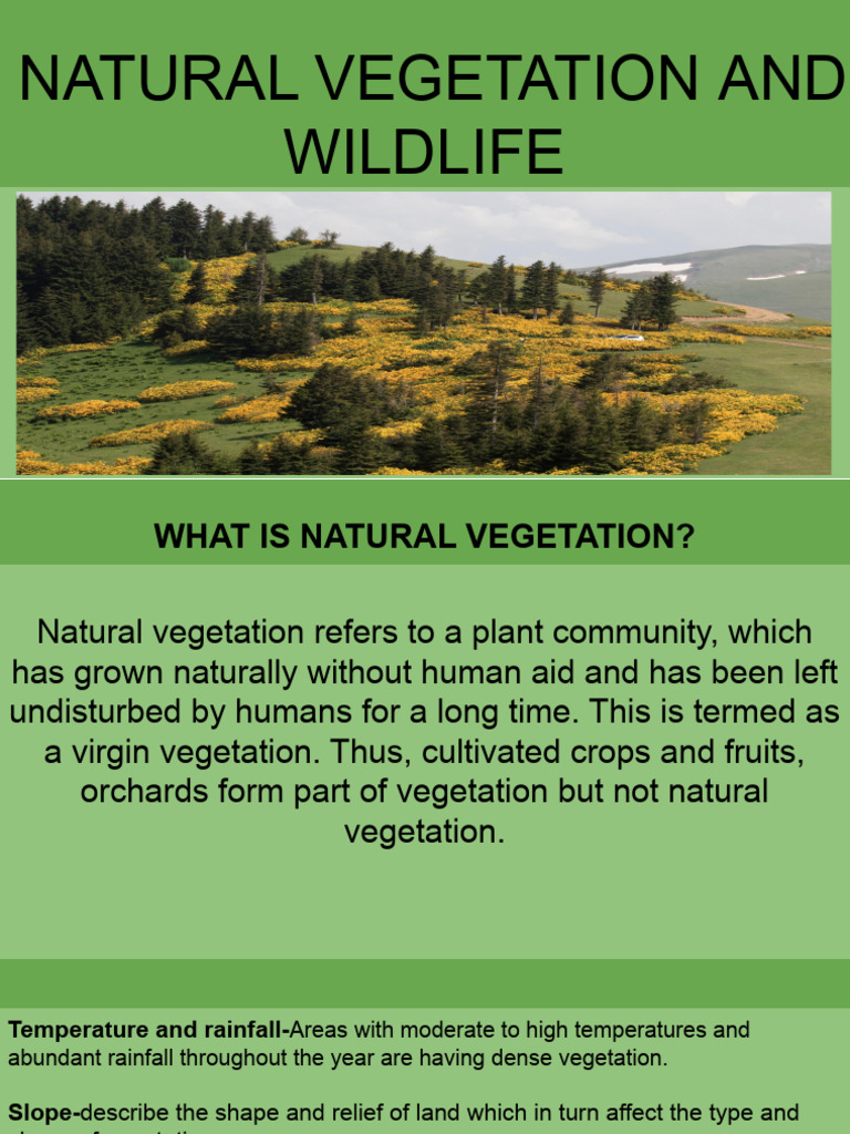 Natural Vegetation and Wildlife | PDF | Forests | Tropics