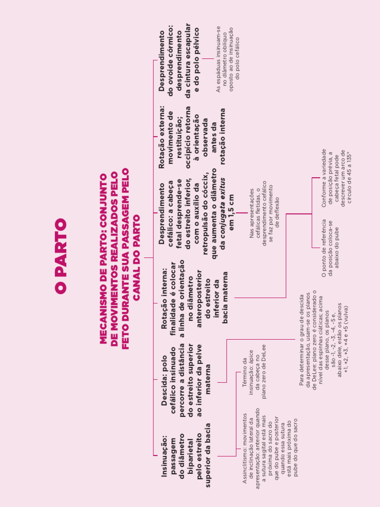 Mapa Mental Parto | PDF | Parto | Pélvis