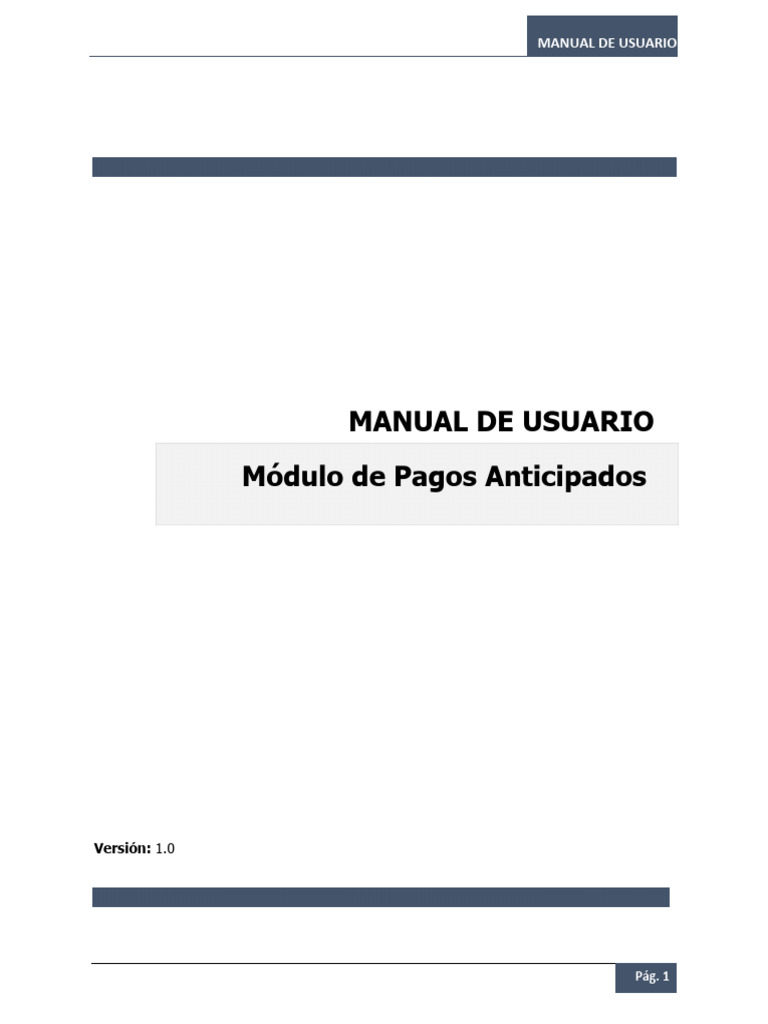 Siat 2025 Manual Pagos Anticipados v1 - 0 | PDF | Impuestos ...