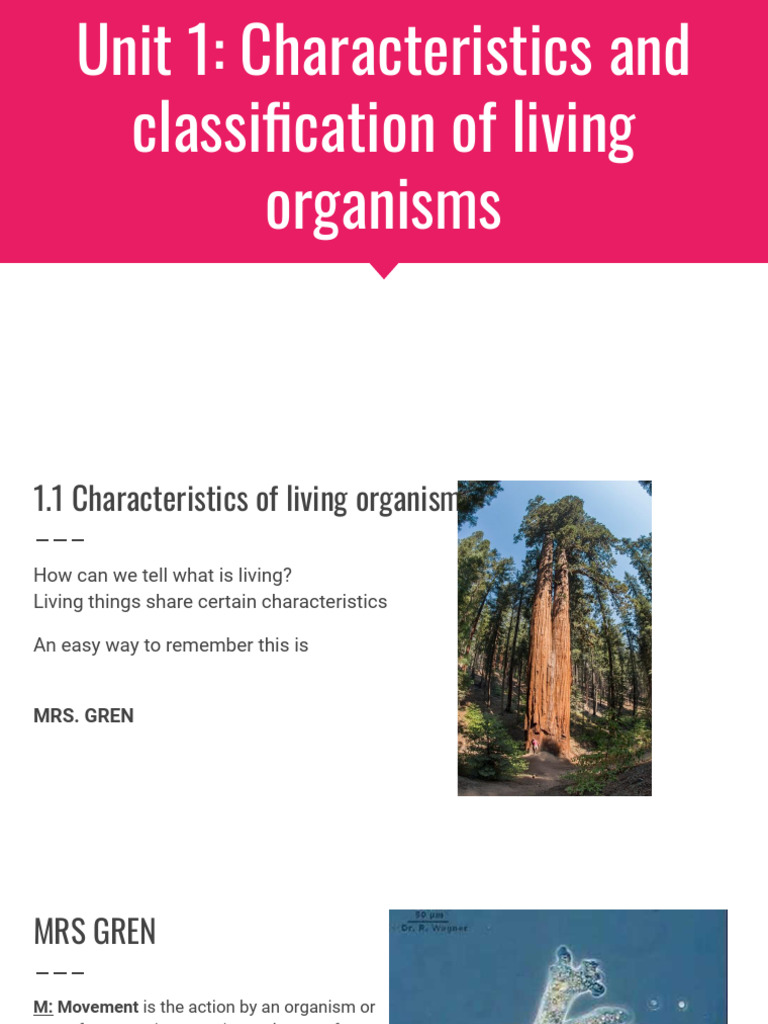 # 1 Unit 1 - Characteristics and Classification of Living Organisms ...
