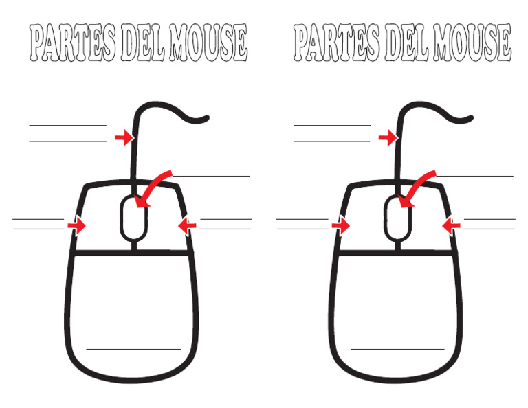 Partes Del Mouse | PDF