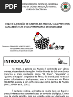 Clorocil: Pomada Oftálmica e Uso Seguro | PDF | Gravidez | Amamentação