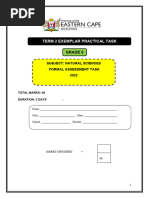 2025 SBA Assignment GR 11 Term 1 Economics - Marking Guideline | PDF ...