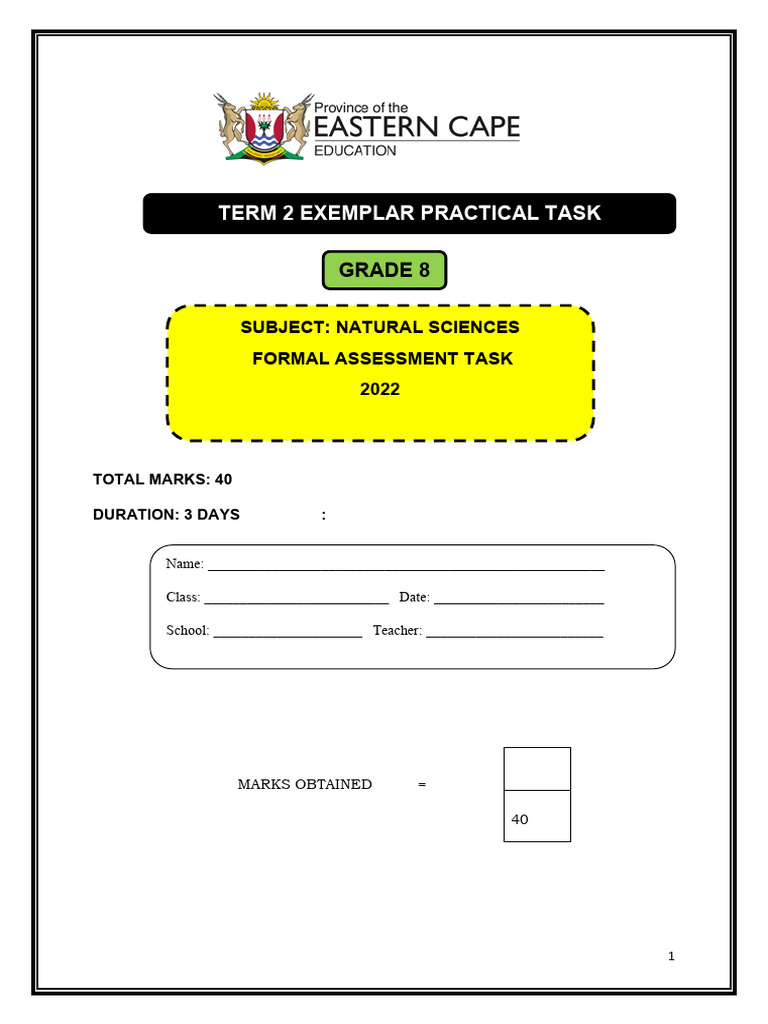 2022 NS Grade 8 Practical Task | PDF | Density | Gases