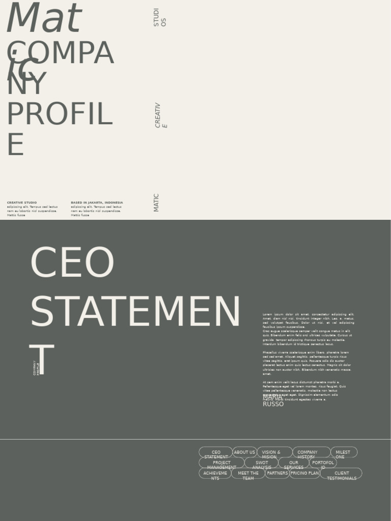 Matic Company Profile | PDF