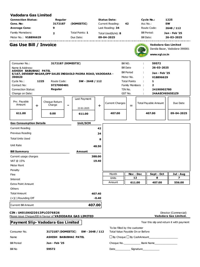 VGL Gas Bill Summary for Jan-Feb 2025 | PDF | Cheque | Value Added Tax