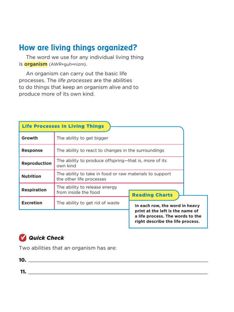G5 How Are Living Things Organized 1 | PDF | Organisms | Biology