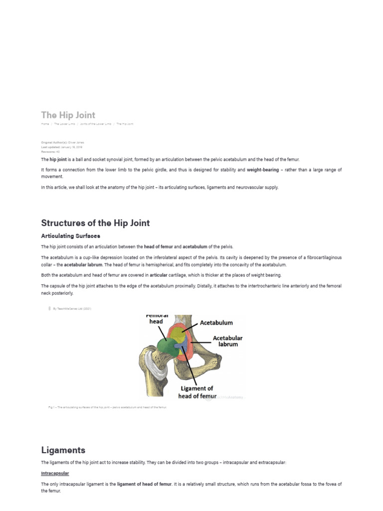 The Hip Joint - Articulations - Movements - TeachMeAnatomy | PDF | Hip ...