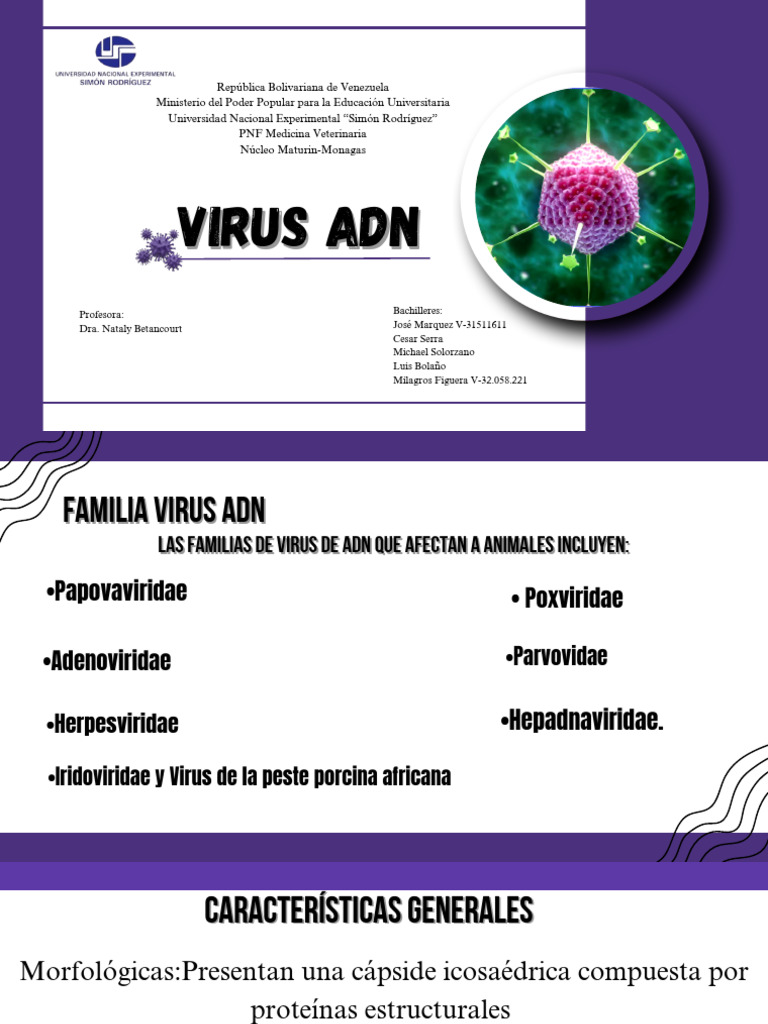 Virus ADN | PDF | Virus | Adenoviridae