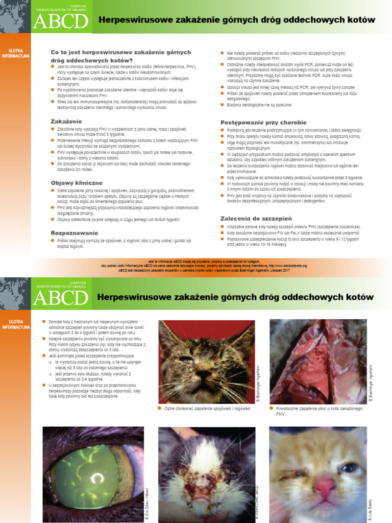 FACTSHEET FHV Feline Herpesvirus Cats | PDF