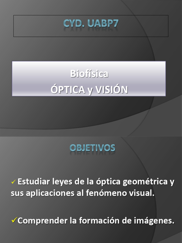 1 Óptica y Visión - 250528 - 202548 | PDF | Óptica | Percepción visual