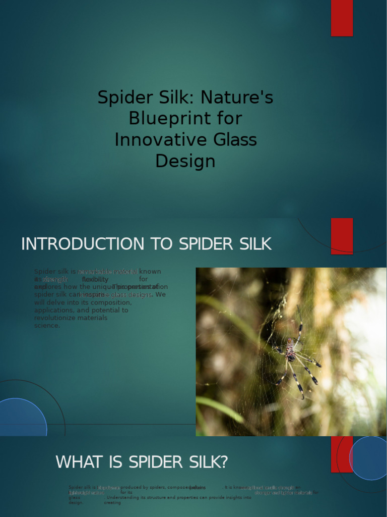Bioproject Pras | PDF | Spider | Glasses