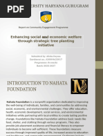 UU200 Group Report | PDF | Mangrove | Coral Reef