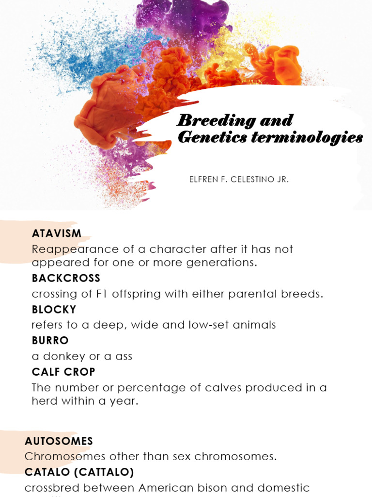 Sister Breeder Genetics Overview | PDF | Zygosity | Dominance (Genetics)