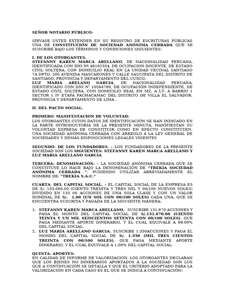 Constitucion - TREKIA OK | PDF | Pagaré | Sociedad de responsabilidad ...
