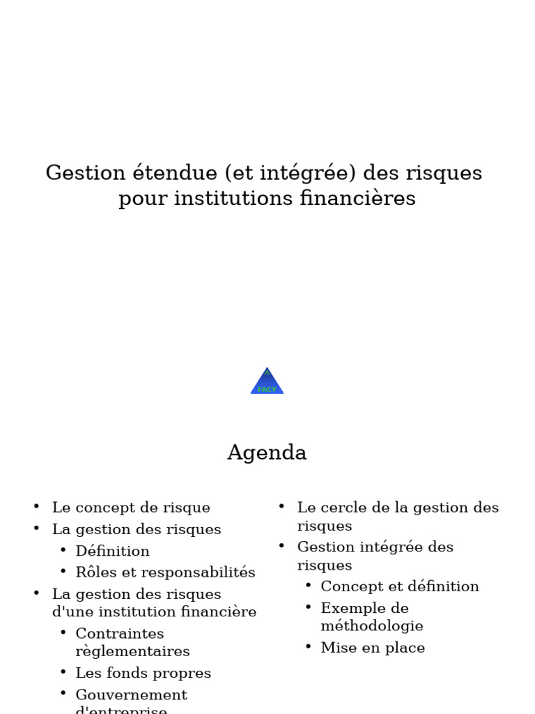 2015.05 Gestion Intégrée Des Risques | PDF | Gestion des risques | Risque