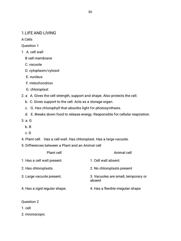 Understanding Cell Structures and Systems | PDF | Rock (Geology) | Kidney
