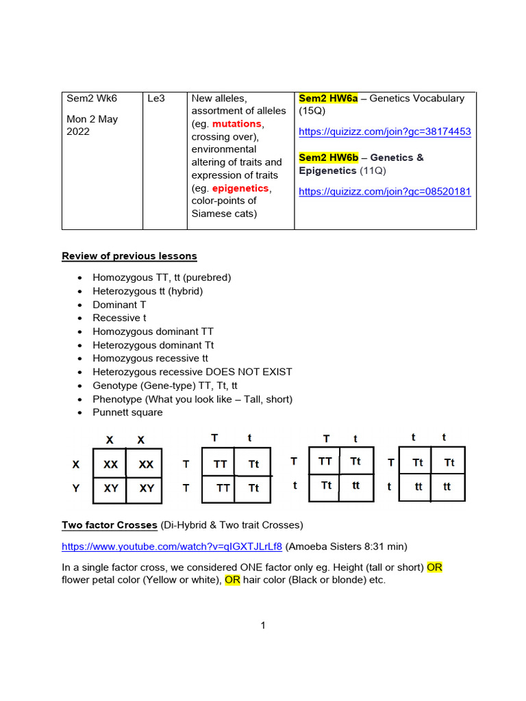 L 23 - Environmental Altering of Traits, Epigenetics OK | PDF | Twin ...