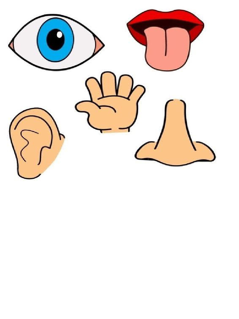 Print Gambar Panca Indra | PDF