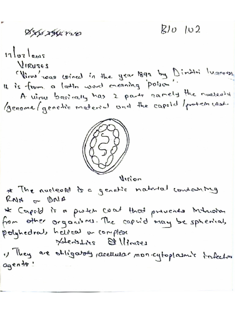 Bio102 - NSLT1 (17-03-2025) | PDF