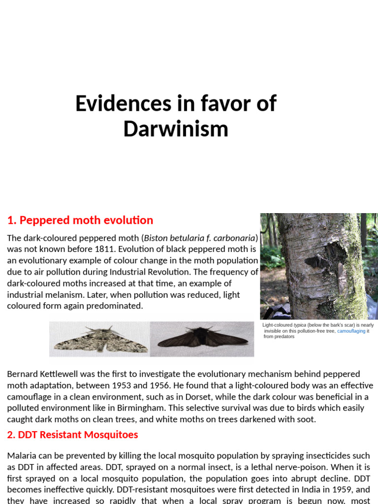 Evidences of Darwinism | PDF | Natural Selection | Biological Evolution