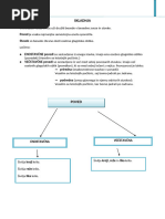 Vaje Z Rešitvami Priredja Podredja | PDF