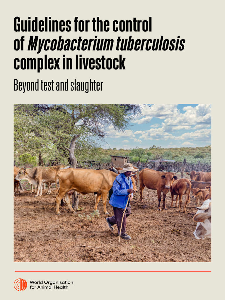 Guidelines-Mtbc-181024 - TB | PDF | Tuberculosis | Infection