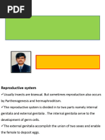 Life Cycle of Laccifer Lacca Insect | PDF | Insects | Anatomical Terms ...