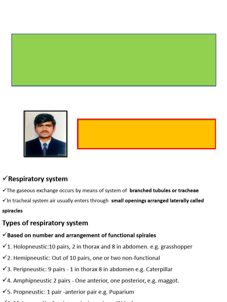 AEN 201 - Respiratory System in Insects - PPT 1 - Agri Junction | PDF ...