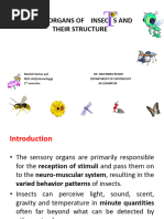 Tagmosis | PDF | Insects | Arthropodology