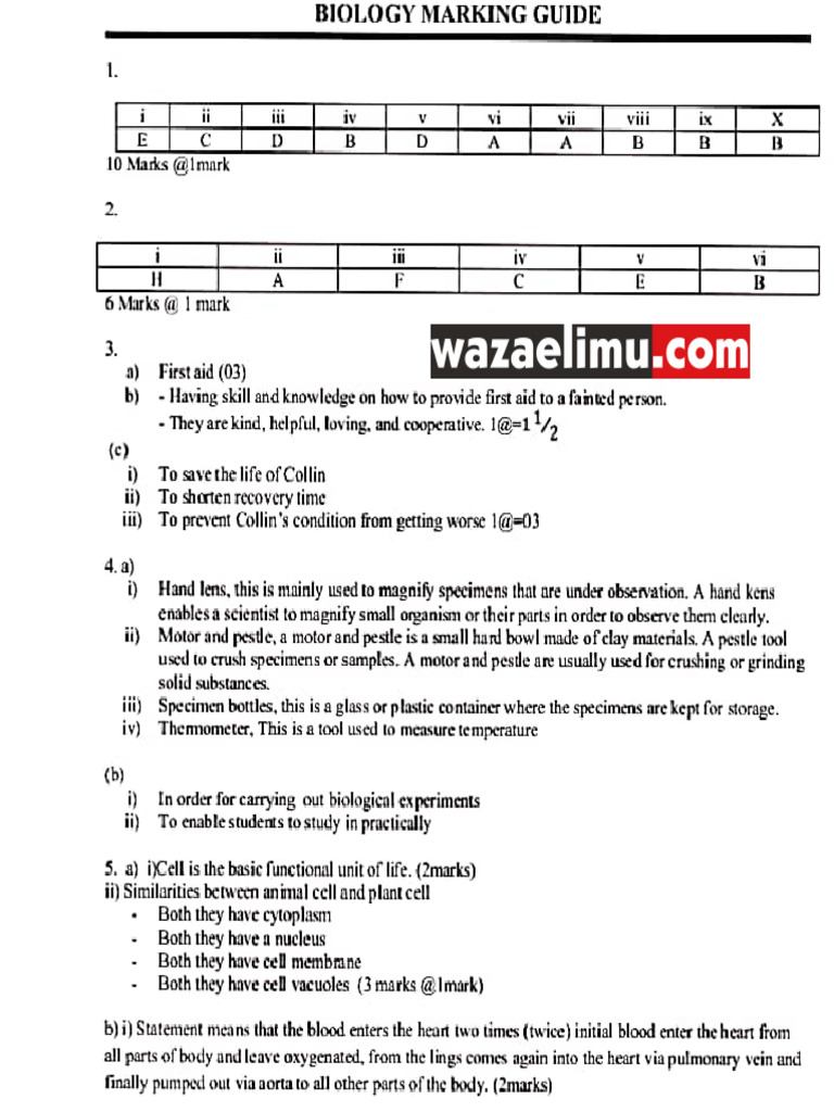 f4 Biology Ms | PDF