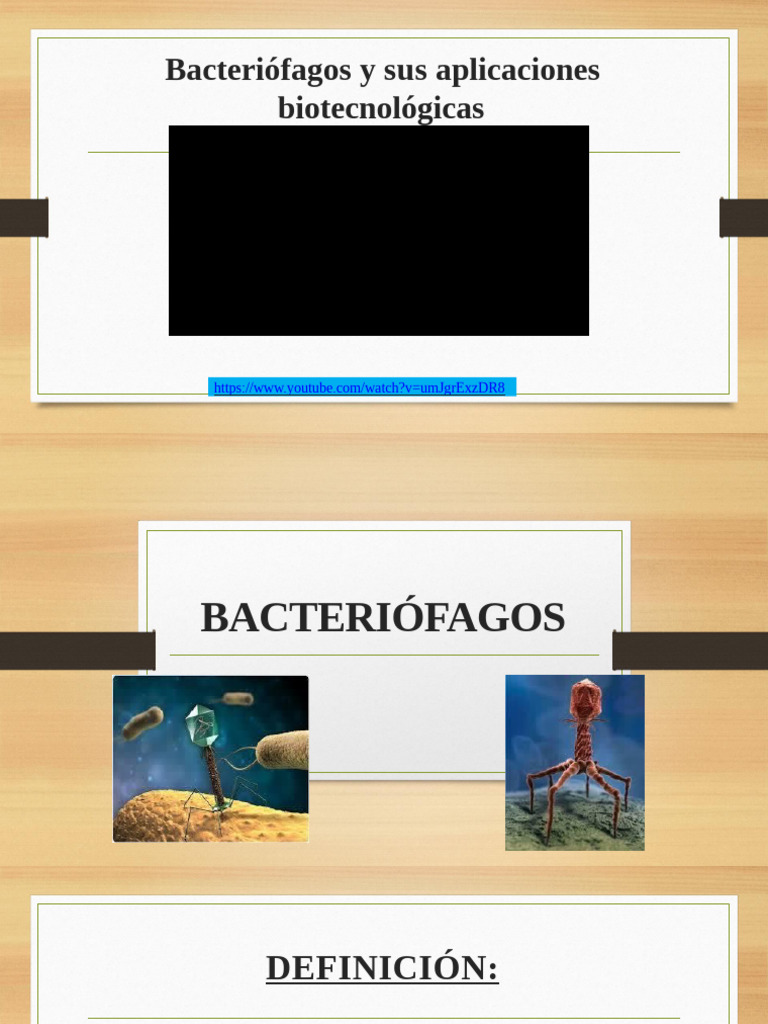 Bacteriófagos: Estructura y Aplicaciones | PDF