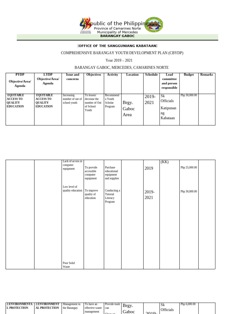 Comprehensive Budget Youth Dev. Plan-Final | PDF | Adolescence