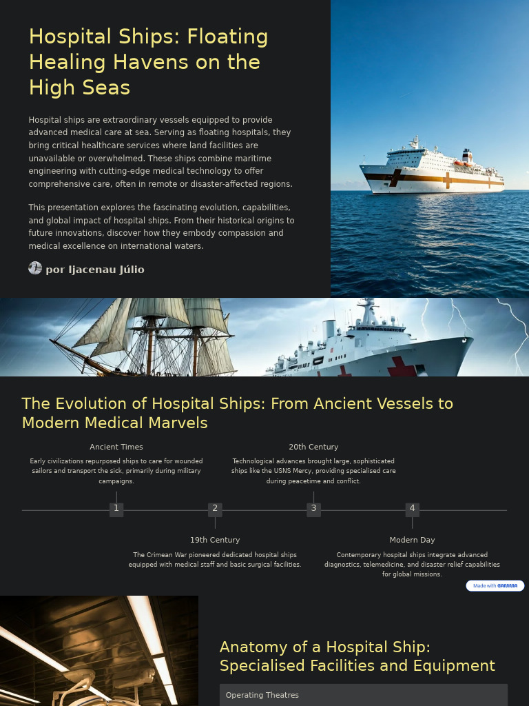 Hospital Ships Floating Healing Havens On The High Seas | PDF ...