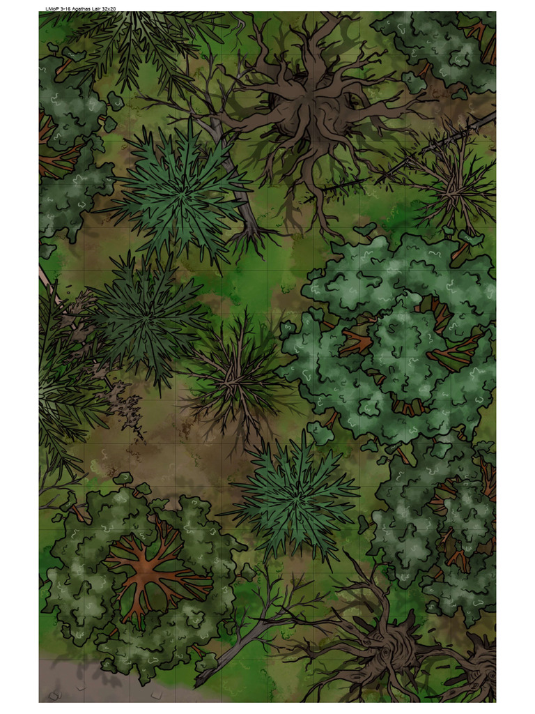 LMoP 3-16 Agathas Lair 32x20 | PDF