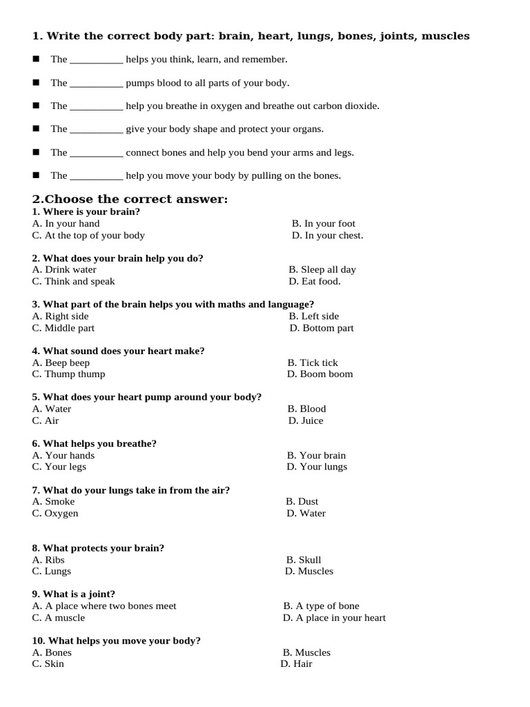 The Human Body Work Sheet | PDF