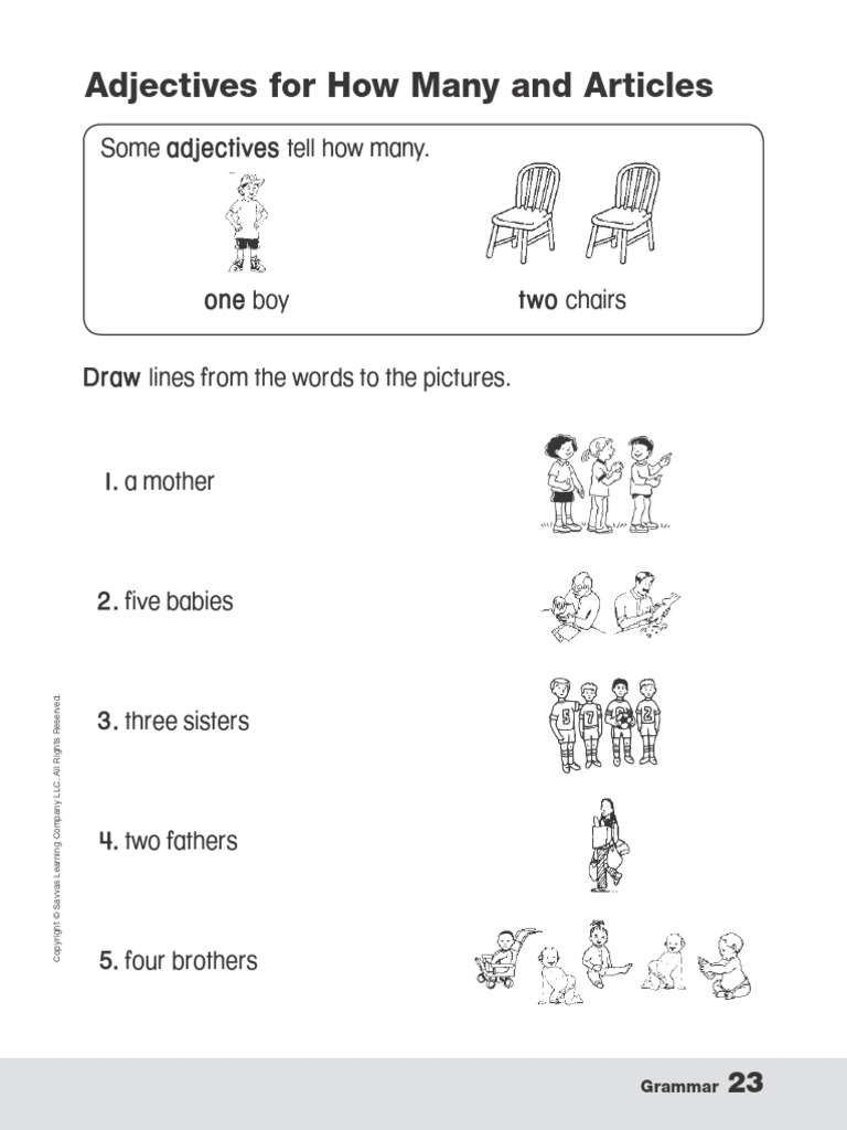 Grammar 23 Adjectives For How Many and Articles | PDF