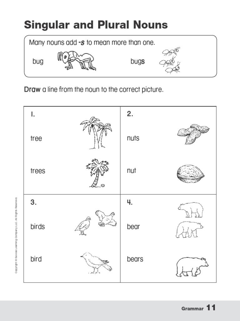 Grammar 11 Singular and Plural Nouns | PDF