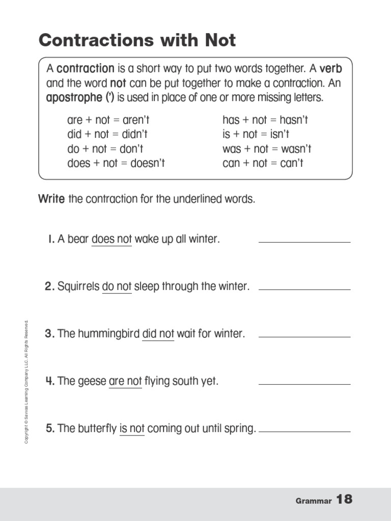 Grammar 18 Contractions With Not | PDF