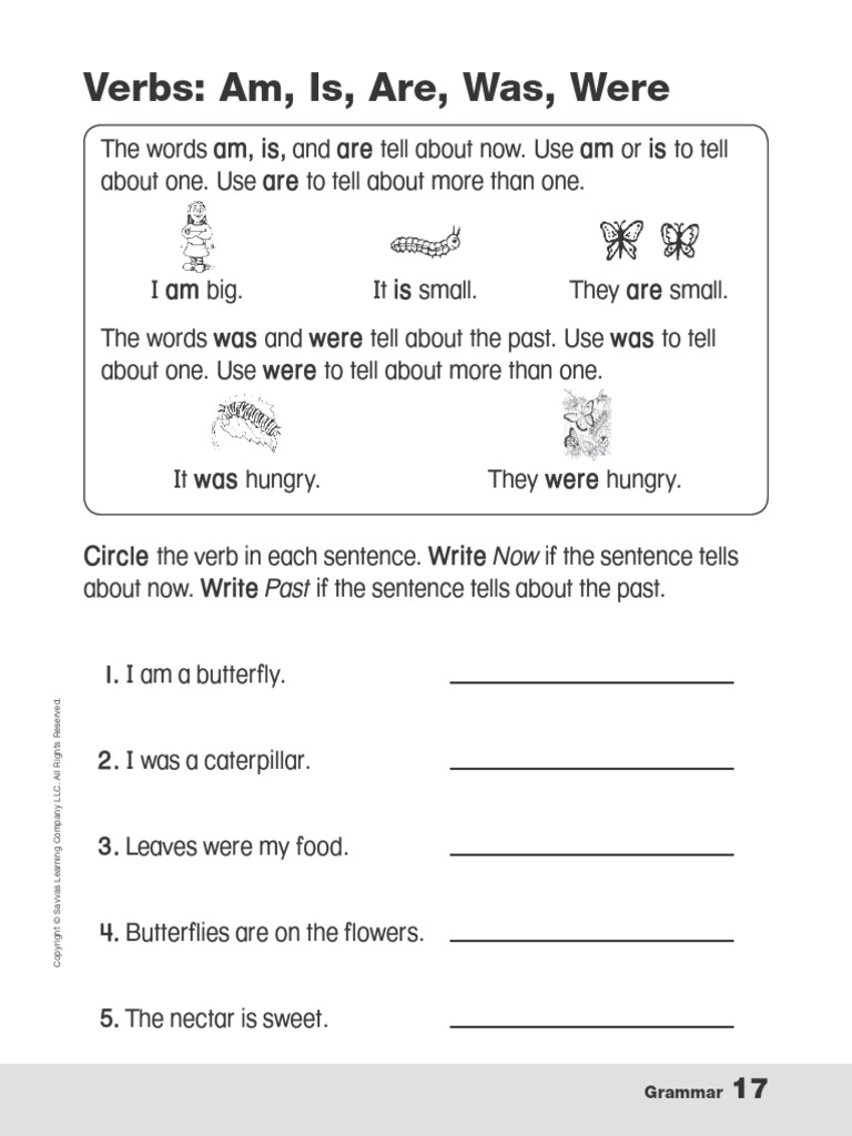 Grammar 17 Verbs - Am, Is, Are, Was, Were | PDF
