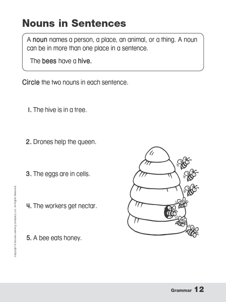 Grammar 12 Nouns in Sentences | PDF