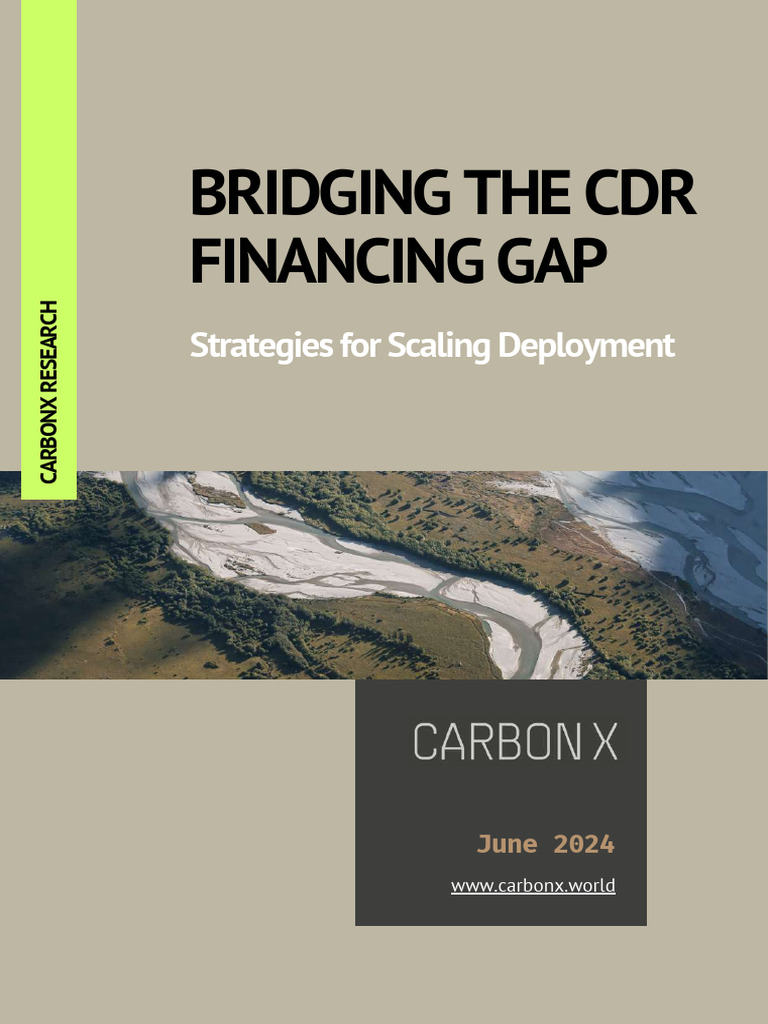 CDR Financing Strategies for Climate Action | PDF | Carbon Dioxide ...