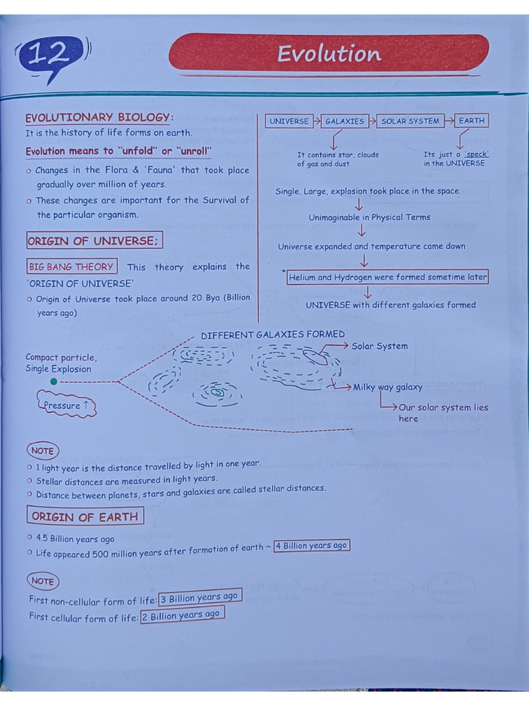 EVOLUTION Zoology Med Easy | PDF