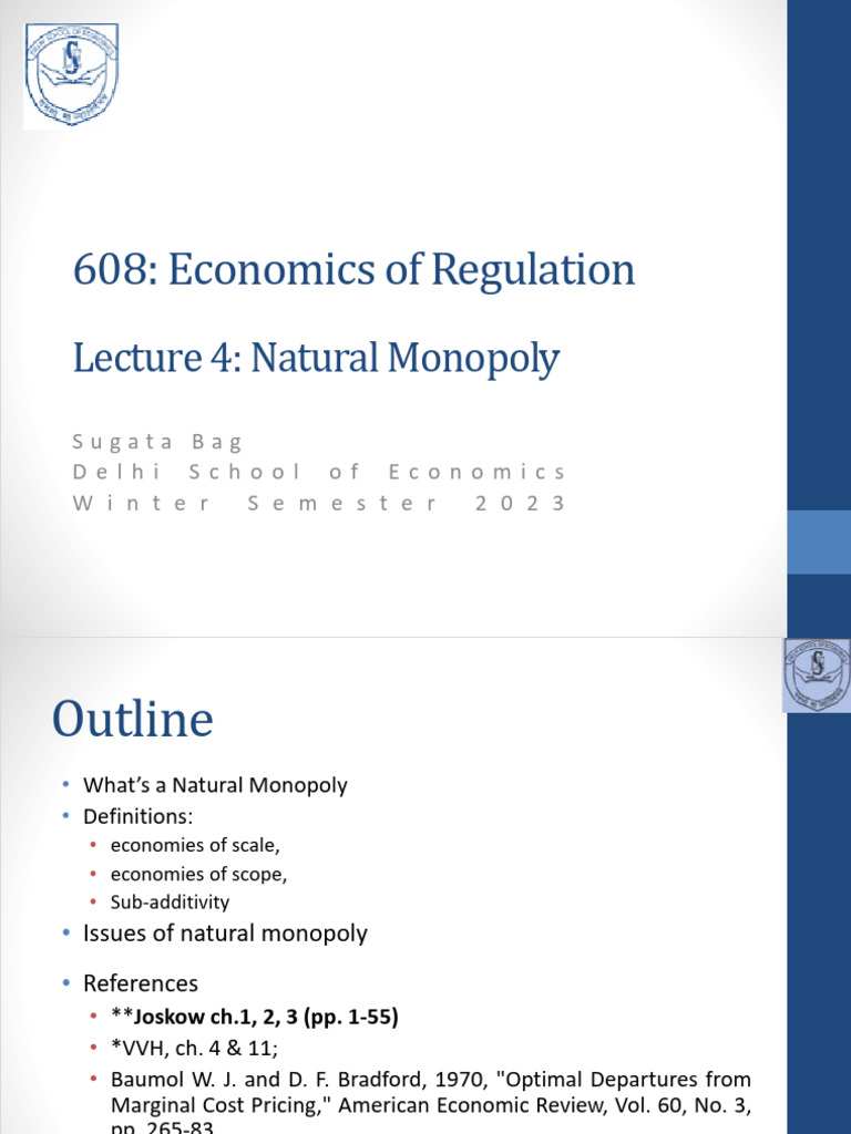 Understanding Natural Monopolies | PDF | Monopoly | Profit (Economics)