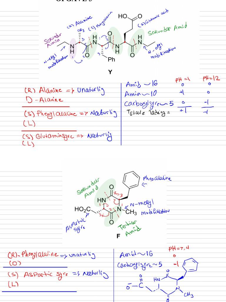 Amino Acid Modifications and Properties | PDF | Organic Compounds ...